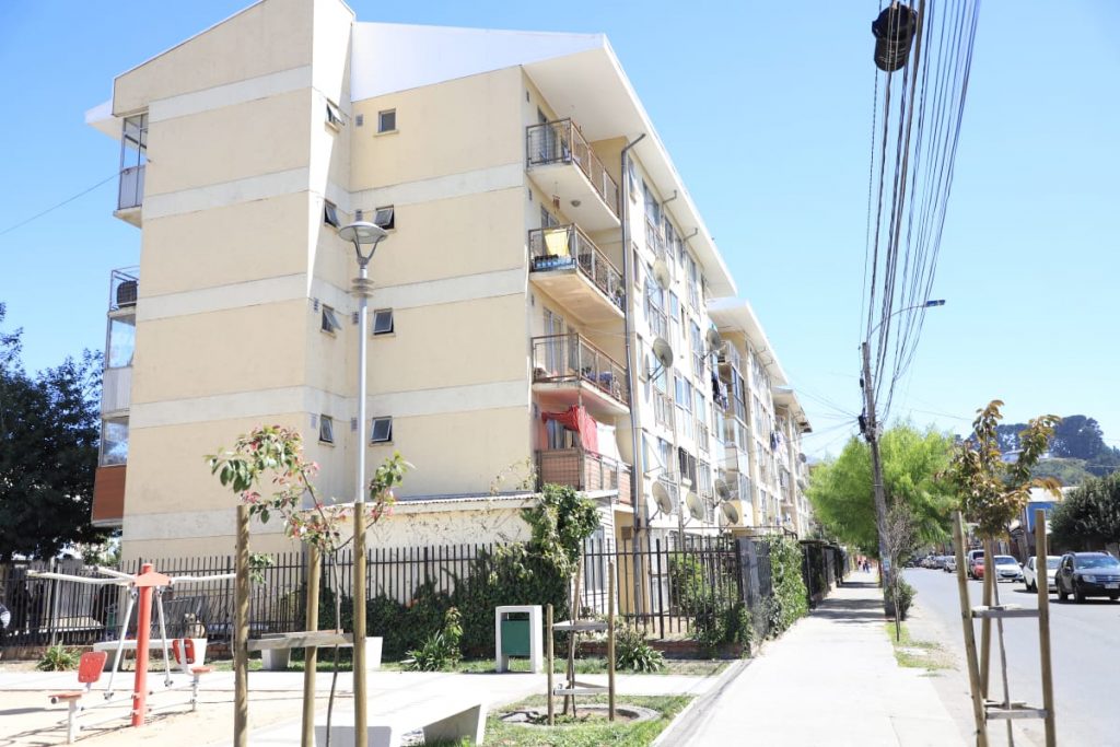 Techumbres de edificios fueron reparadas para evitar plaga de palomas ...